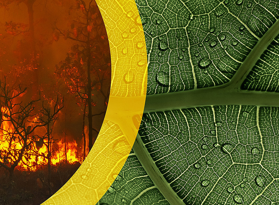 Reflections on Transformation - Climate Change